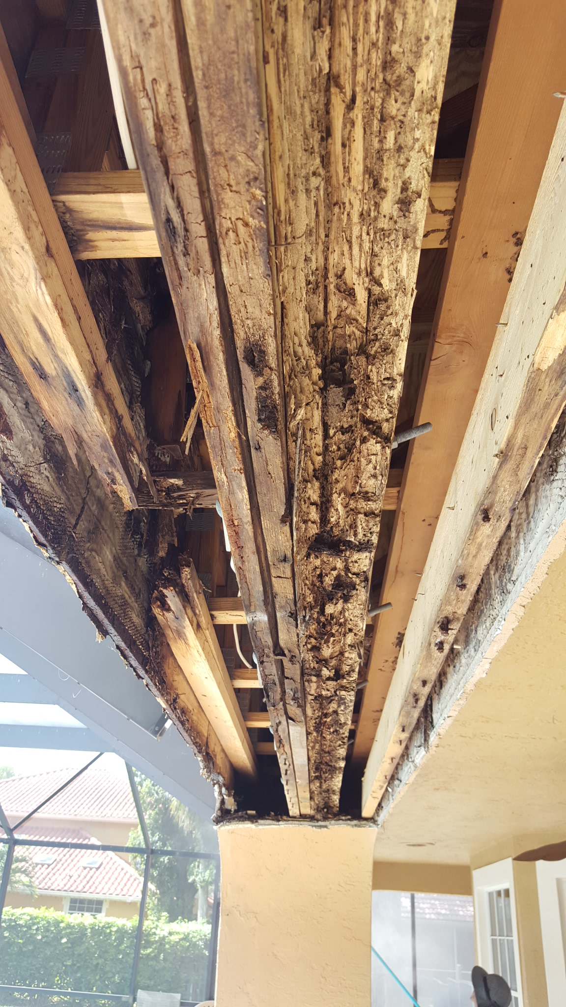 Eliminate household mold - Preventive Maintenance Eliminate household mold - Preventive Maintenance