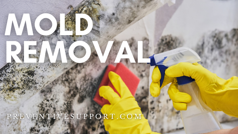Mold Removal: How to Getting Rid of Mold